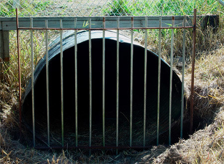 How Beaver Deceivers Make Them Stop Giving a Dam - Core77