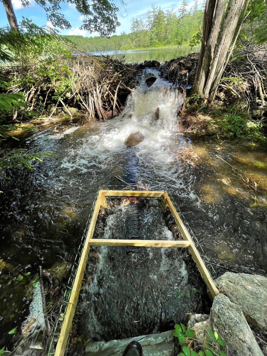 How Beaver Deceivers Make Them Stop Giving a Dam - Core77