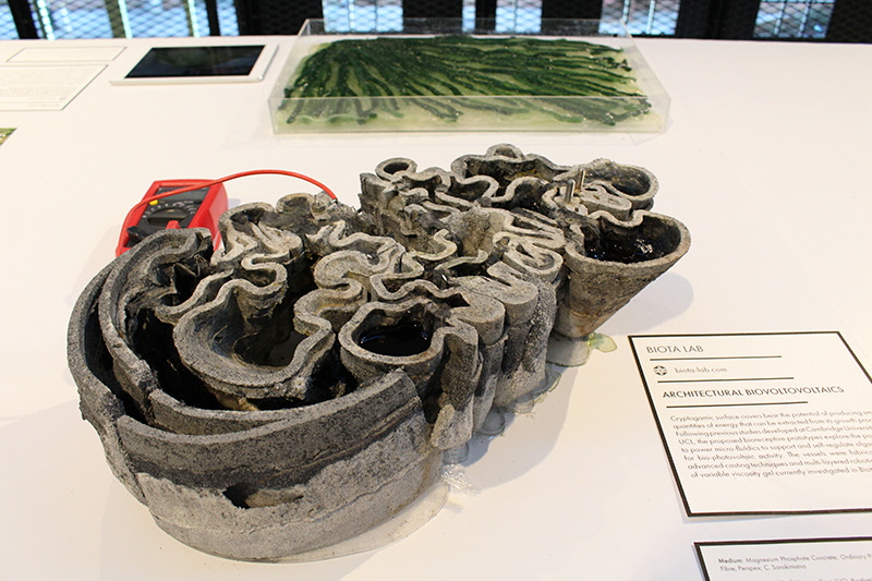 Designers and Scientists Proved Collaboration is Key at Biofabricate ...