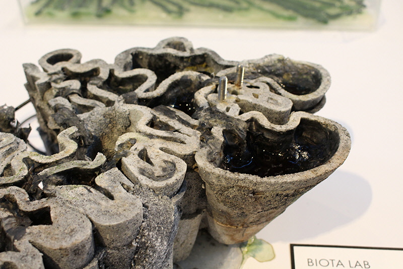 Designers and Scientists Proved Collaboration is Key at Biofabricate ...