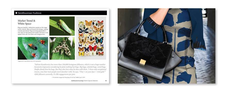 Brand Extension: Licensed Product Capsule Collections by Alternatives ...