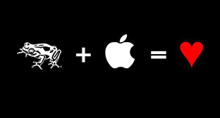 Frog Loves Apple - Core77