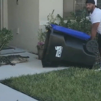 Florida Man Uses Recycling Bin as Alligator Capture Device - Core77