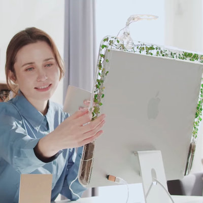 Monitree: A Frame of Living Plants for Your Monitor - Core77