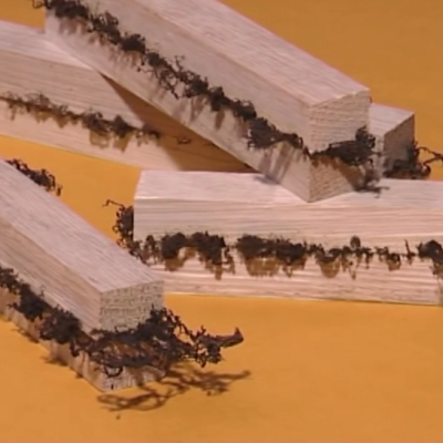 Video of Wood Being Friction-Welded Together - Core77