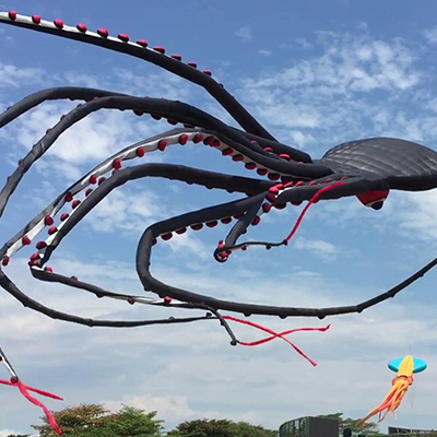 Footage of Beautiful, Enormous Octopus Kite Goes Viral - Core77