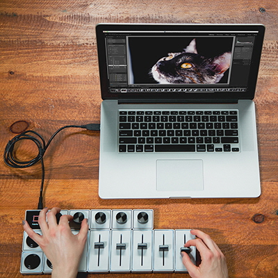 Yea or Nay? Palette's Modular Physical Dials, Buttons and Sliders for ...