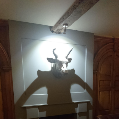 Gyroscopic Pool Tables for Cruise Ships, Lighting Design by Minotaurs ...