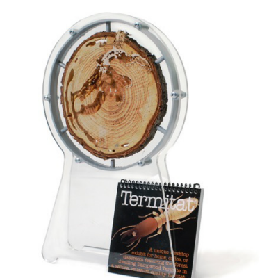 Forget Ant Colonies. Here's a Desktop Termite Habitat - Core77
