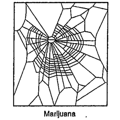 Spiders on Different Drugs Spin Different Types of Web Patterns - Core77