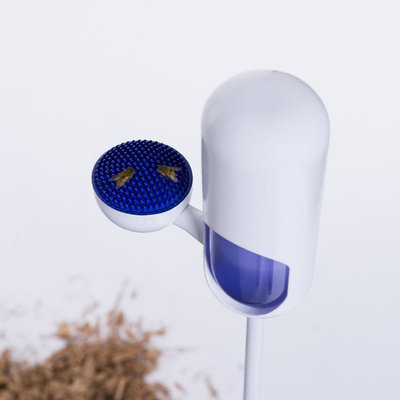 Bee Hospital Investigates the Global Decline of the Bee Population - Core77
