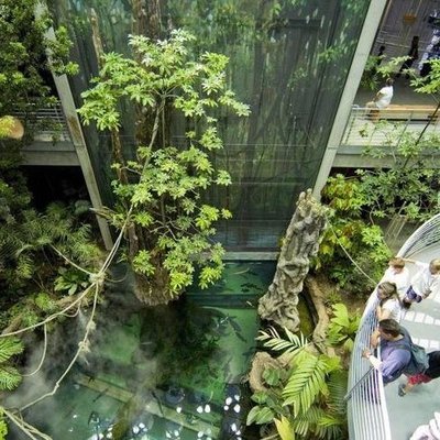 It's a Jungle out There! Apply to Be a Senior Zoo Designer for Thinc ...