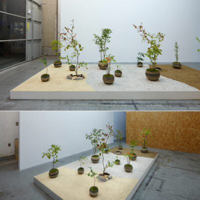 Brilliant Strata pot helps raise a tree indoors before returning to the ...