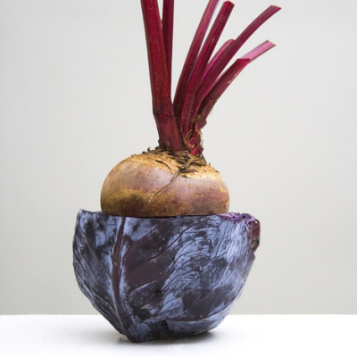 RAW COLOR - Vegetable Design Research - Core77