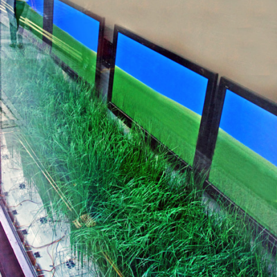 The Grass Is Always Greener: "Urban Prairie" by In Square Lab - Core77