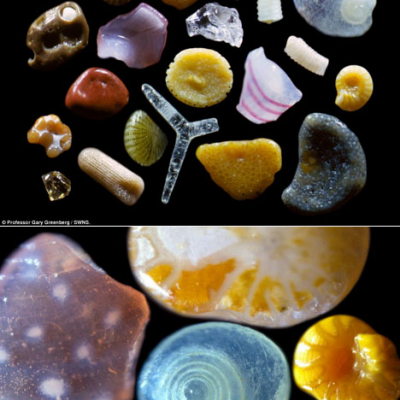 Interesting, Hidden Designs in Nature: A Closer Look at Sand Crystals ...