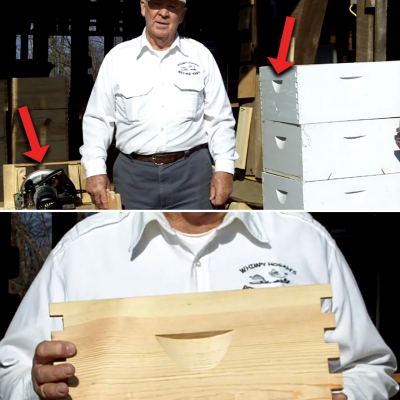 Circular Saw Hack: Cleo Hogan's Cove-Shaped Bee Box Handle-Cutting Jig ...
