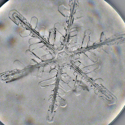 The Science of the Snowflake - Core77