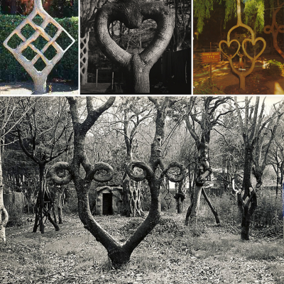 More Crooked Forests: Axel Erlandson, the Tree Tinkerer from the 1920s ...