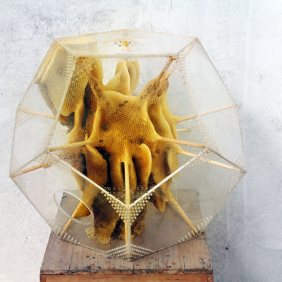 Wax Poetic: Ren Yue Studies the Interaction of Humans and Nature with ...