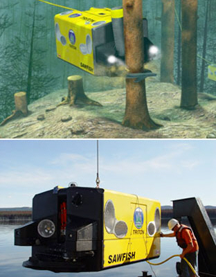 Triton Logging harvests underwater wood - Core77