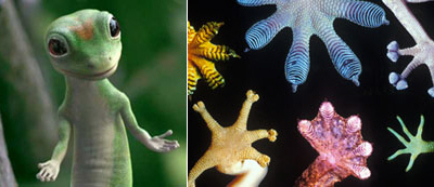 Biomimicry: gecko-mussel tape - Core77