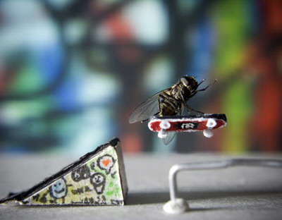 Fly photography - Core77