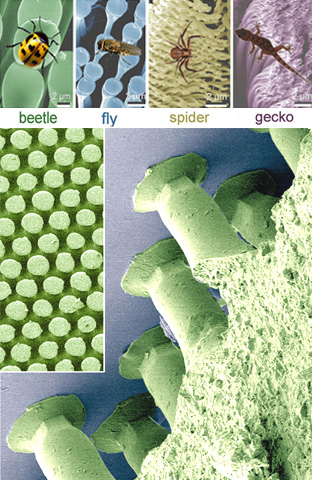 Getting Sticky with Materials - Core77