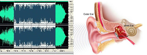DIY soundproofing - Core77
