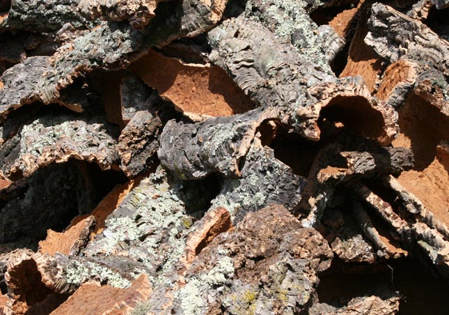 HOW CORK IS MADE - Core77